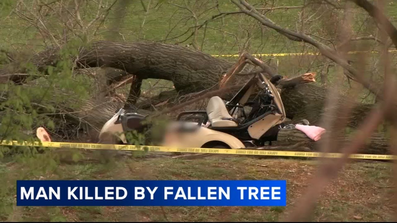 1 dead after fallen tree strikes golf cart at Montgomery County country ...