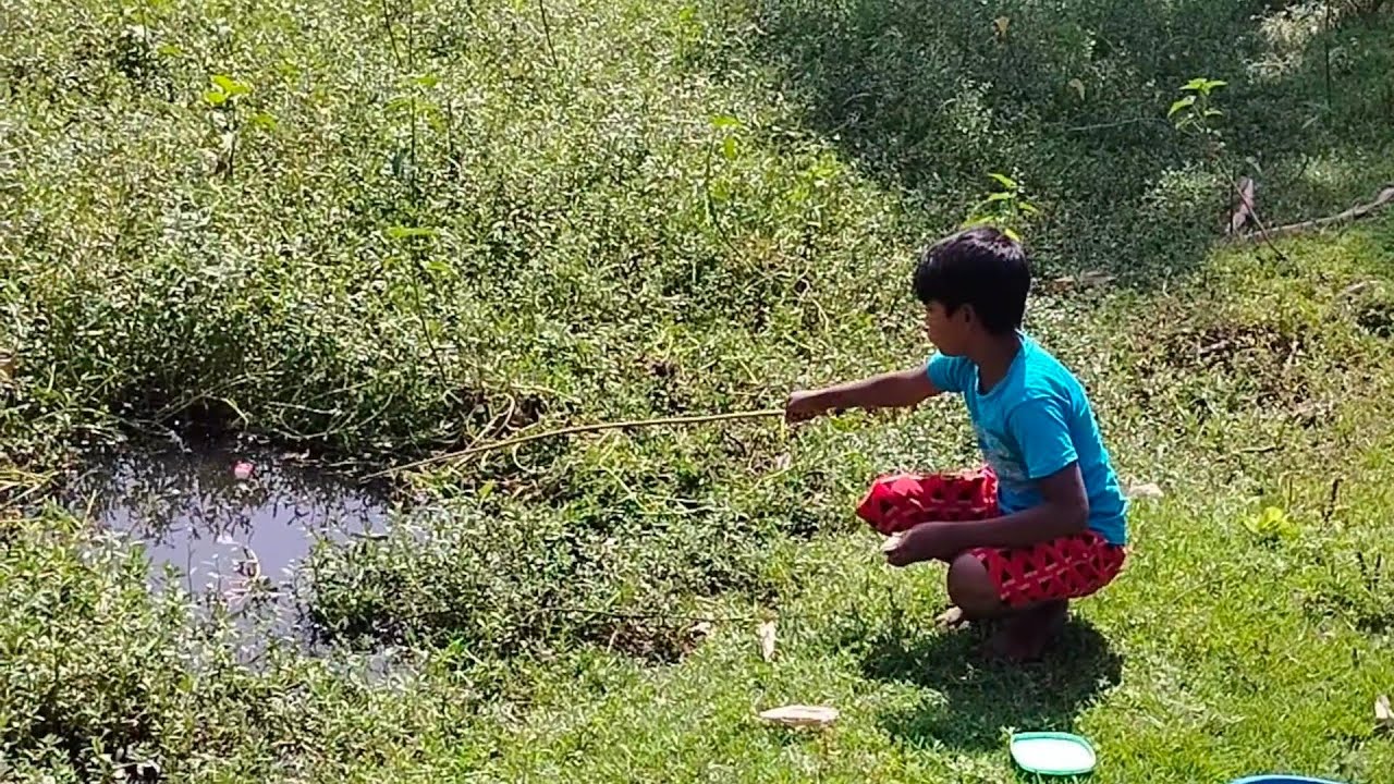 Best Hook Fishing || Traditional Indian village Boy Pond Fishing In ...
