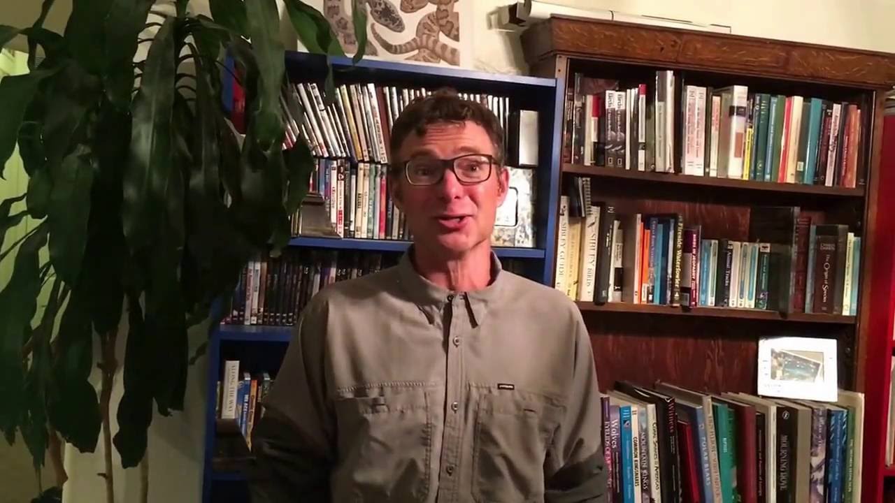 Wildlife biologist Bryan Hamilton on his favorite inhabitant of Great ...