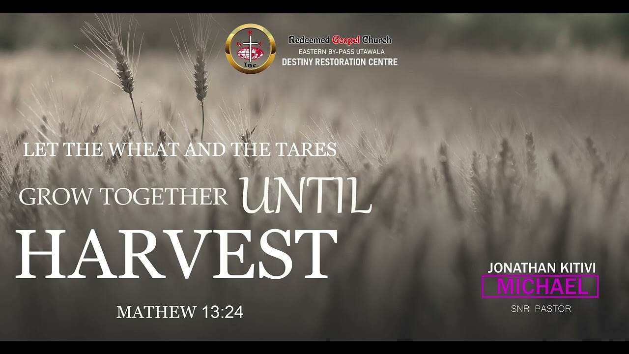 LET THE WHEAT AND THE TARES GROW TOGETHER UNTIL HARVEST TIME - YouTube