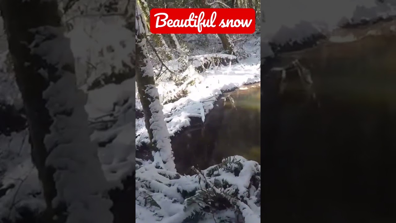 Beautiful View Of Snow PNW - YouTube