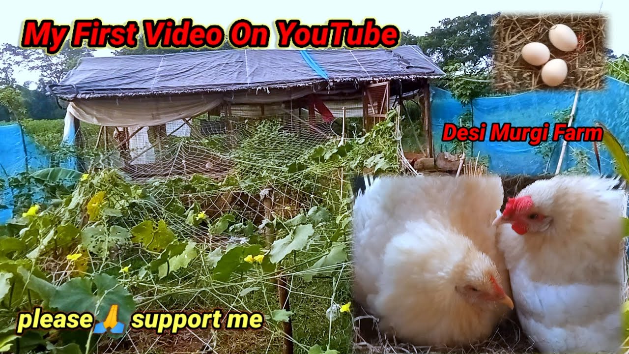 My Fist Farm Vlog Video On YouTube ️ #myfirstvlog #my_first_vlog # ...