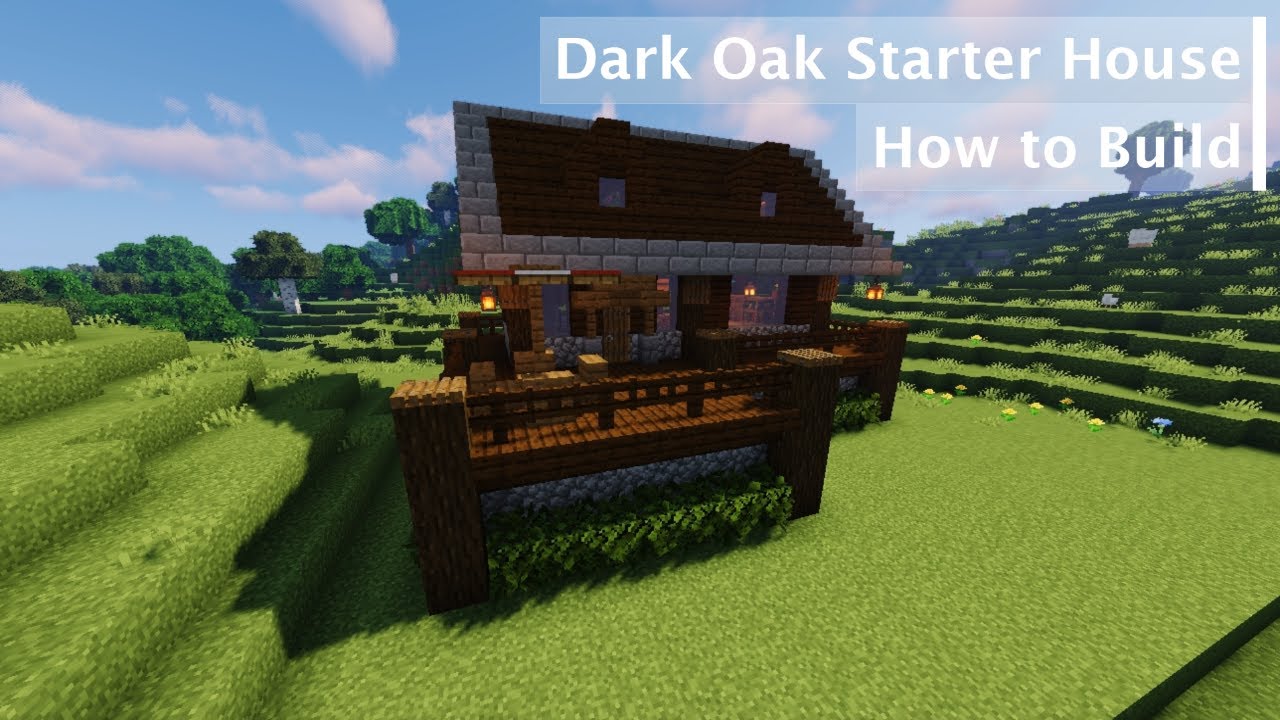 How to Build a Dark Oak Survival Starter House | Minecraft 1.20 ...
