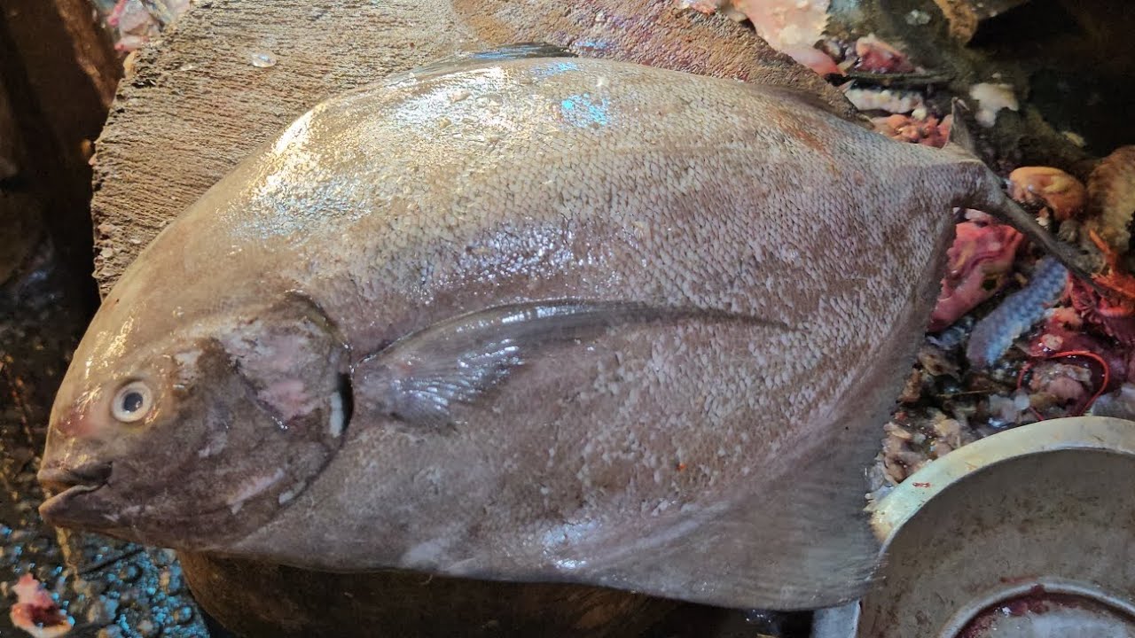 Ctg Cutting Fisher for(Chowk Bazar) 2kg Chanda fish big fish Fish ...