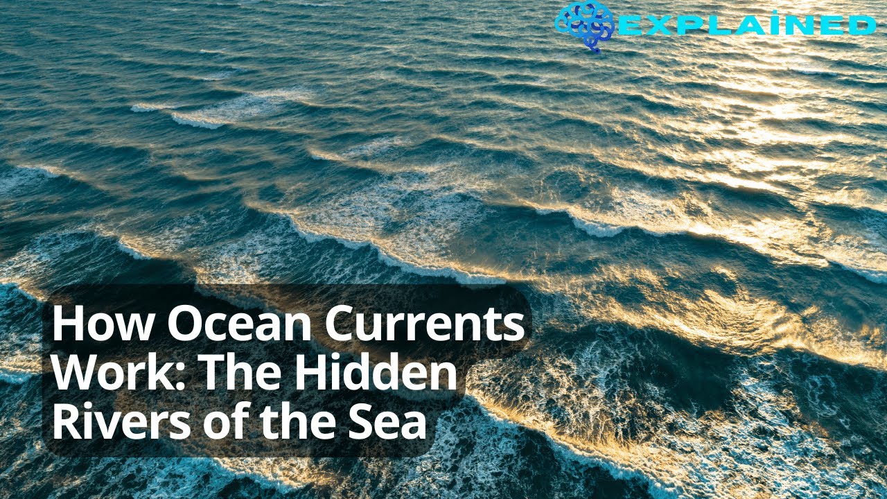 How Ocean Currents Work: The Hidden Rivers of the Sea - YouTube