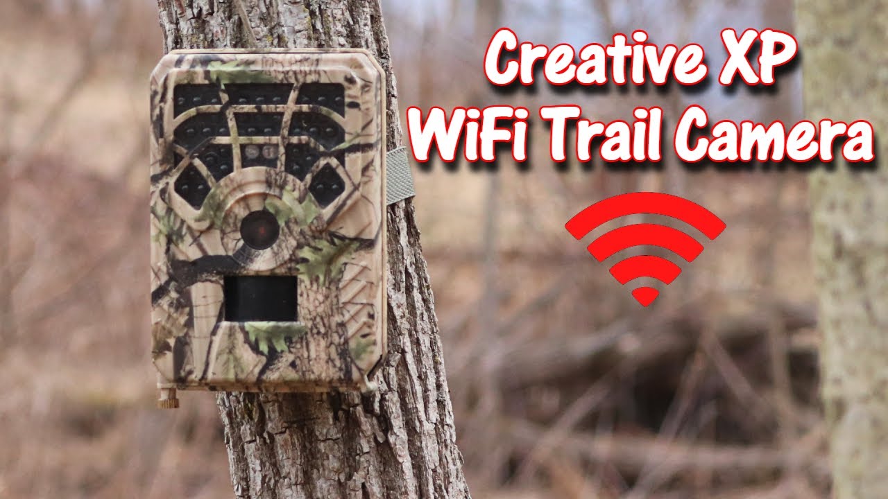Creative XP Wi-Fi 24MP Trail Camera Field Test and Review: Sample ...