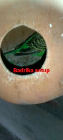 Badrika setup#youtubeshorts - YouTube