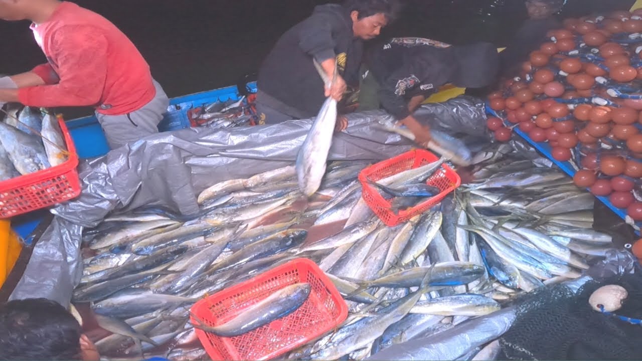 Lamadang‼️Panen total 2ton||Bongkar hasil tangkapan - YouTube