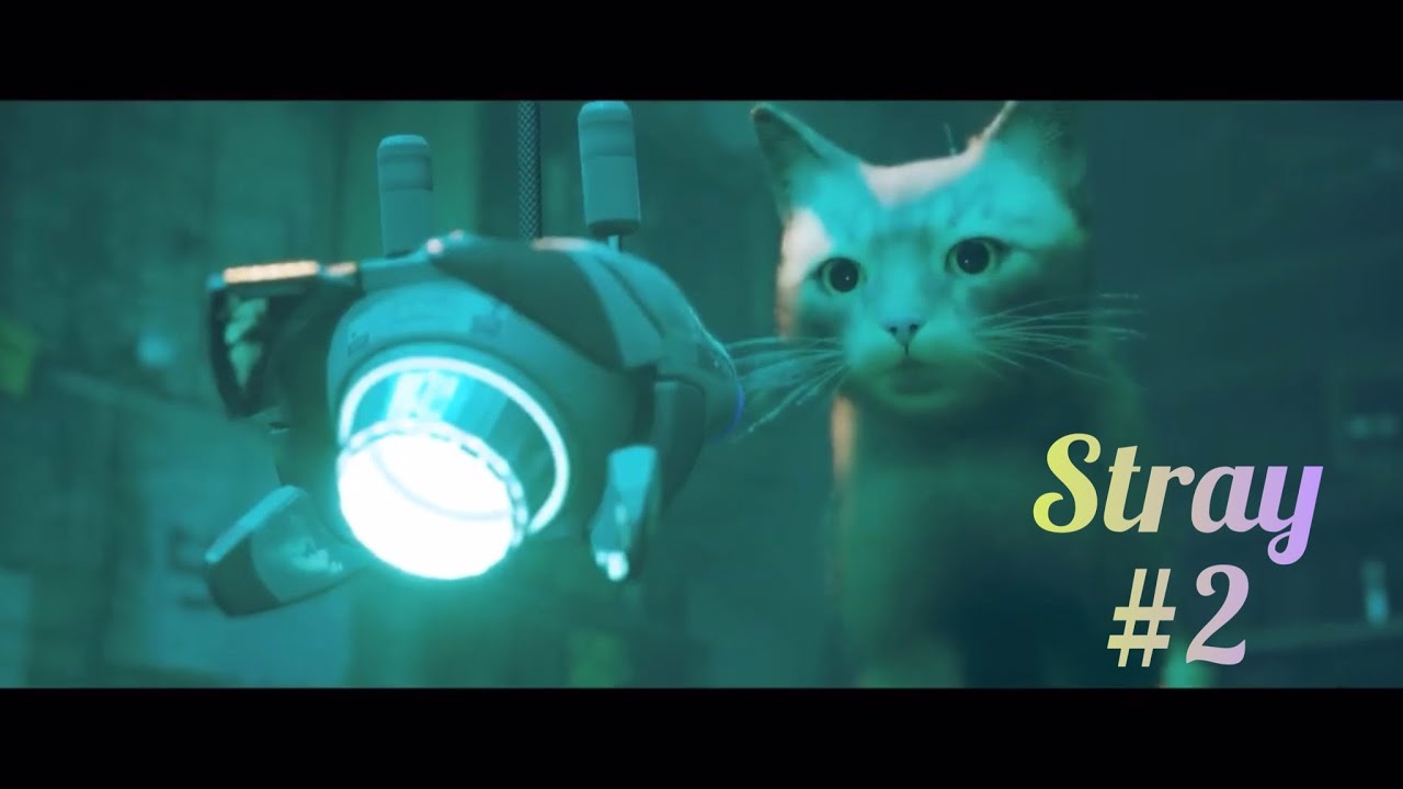 Stray_#2 - YouTube
