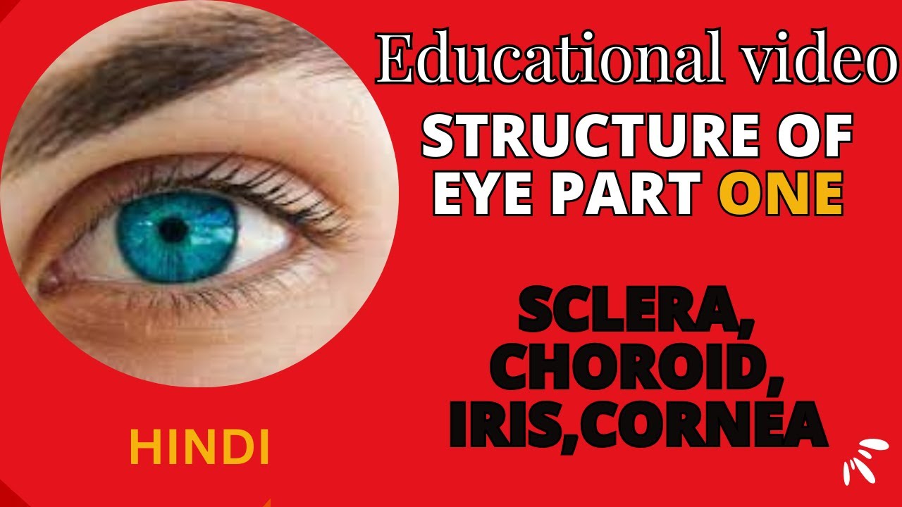 Structure of eye part one sclera choroid iris pupil ciliary body cornea ...