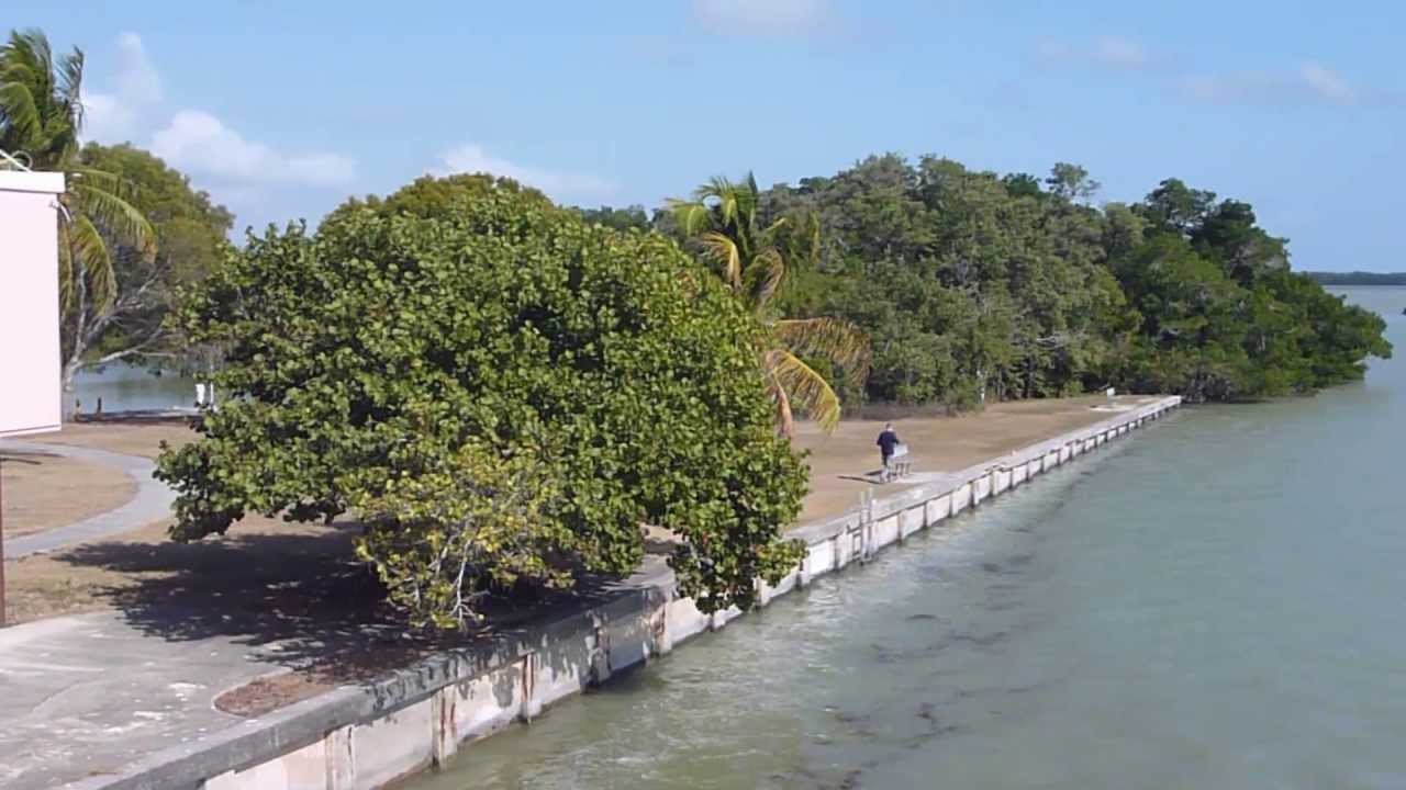 Flamingo, Florida - YouTube