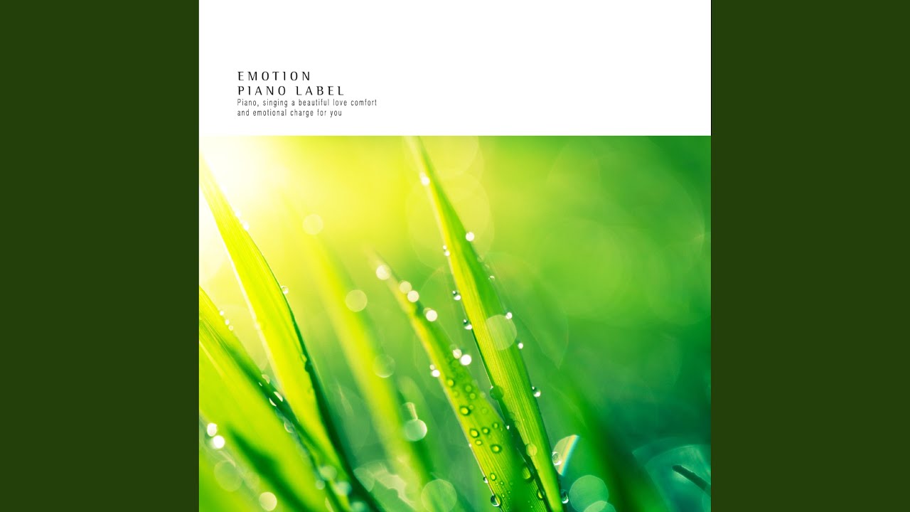 Splendid Water (Nature Ver.) - YouTube