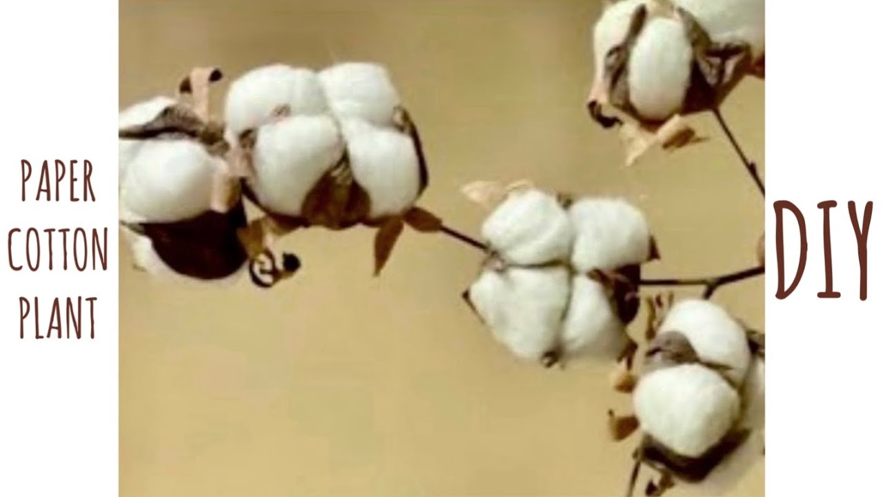 How to make a cotton plant | realistic | paper craft - YouTube