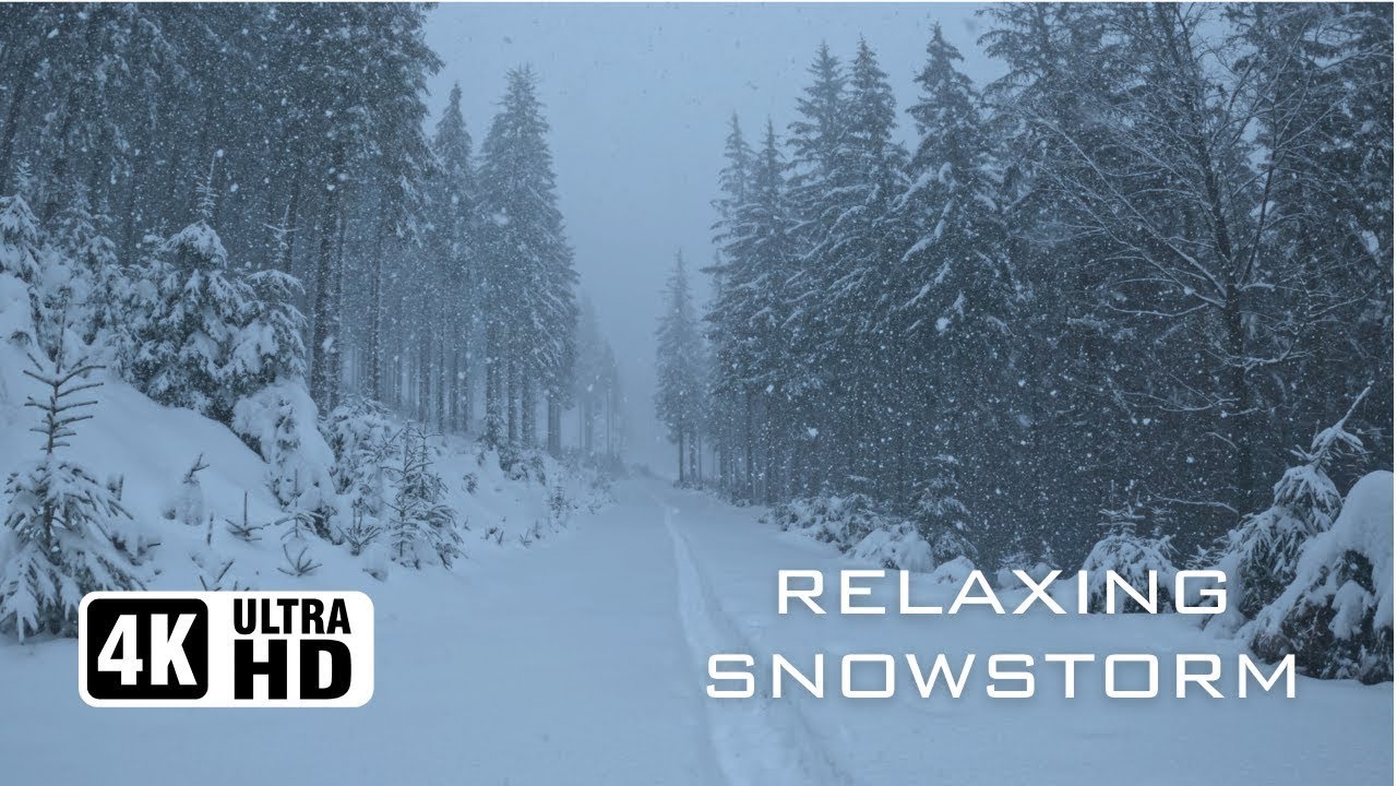 Cozy Snowfall Ambience ️ 3 Hours of Relaxing Winter Snowstorm with ...