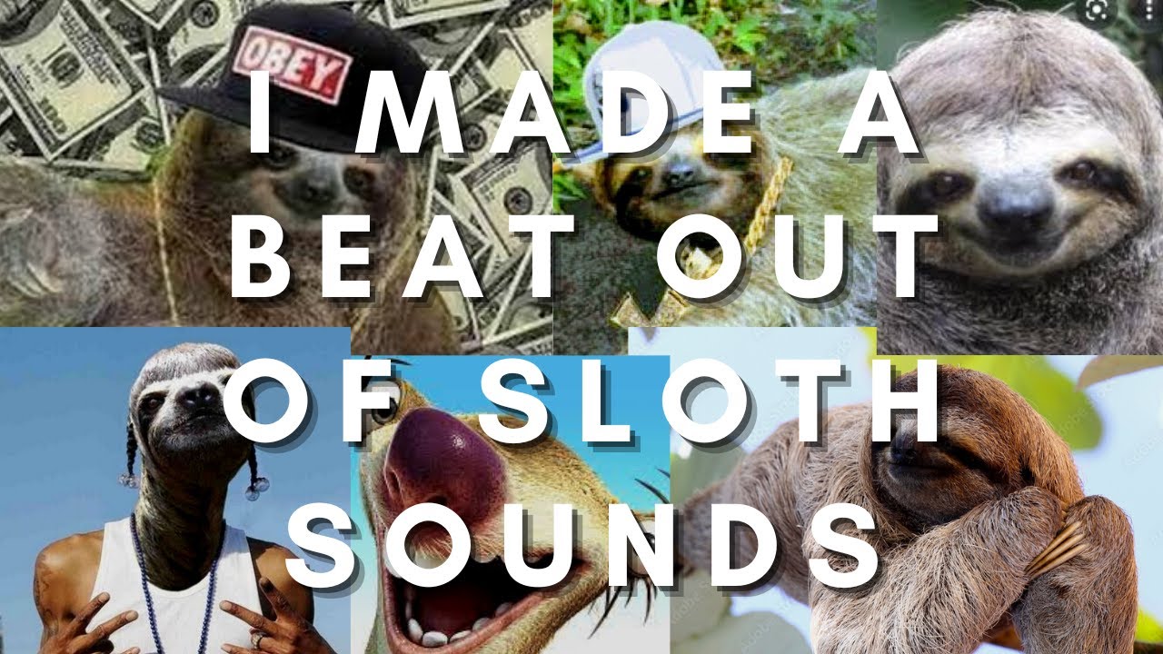 I Made A Drill Beat Out Of Sloth Sounds - YouTube