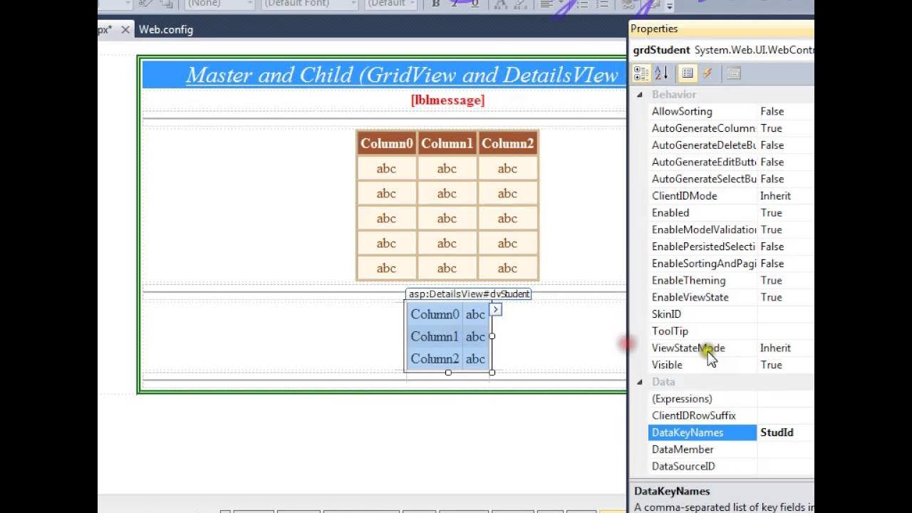 How to Provide Master and Child Relationship between GridView and DetailsView in Asp.Net - YouTube