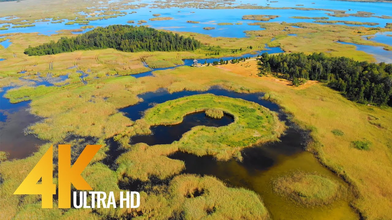 Bird Eye View of Latvian Nature - Airview of Amazing Landscapes in 4K ...