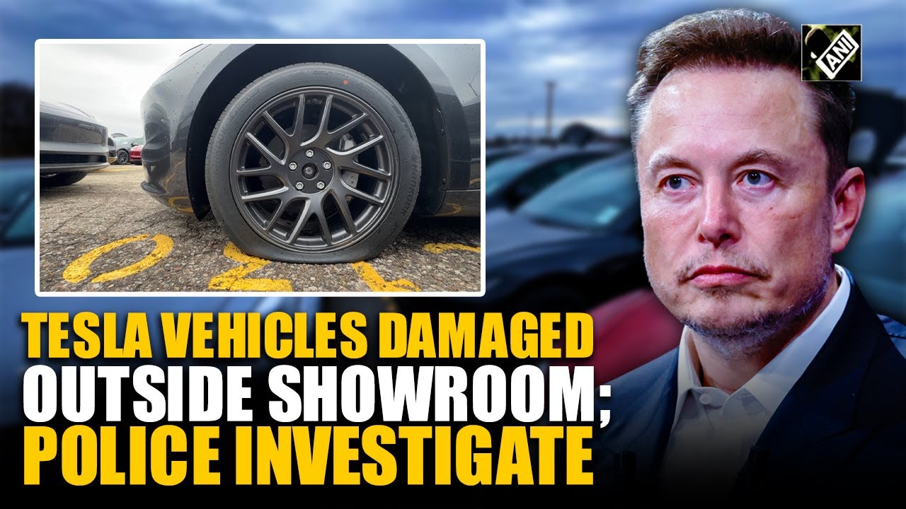 80 Tesla cars damaged overnight in Hamilton, Canada; Police investigate ...