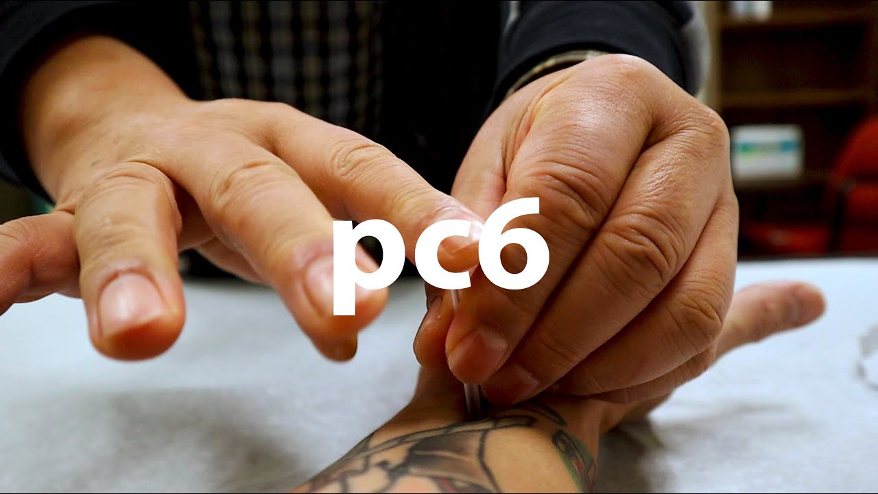 pc6 | neiguan | pericardium channel [acupuncture | medicine | dongguk ...