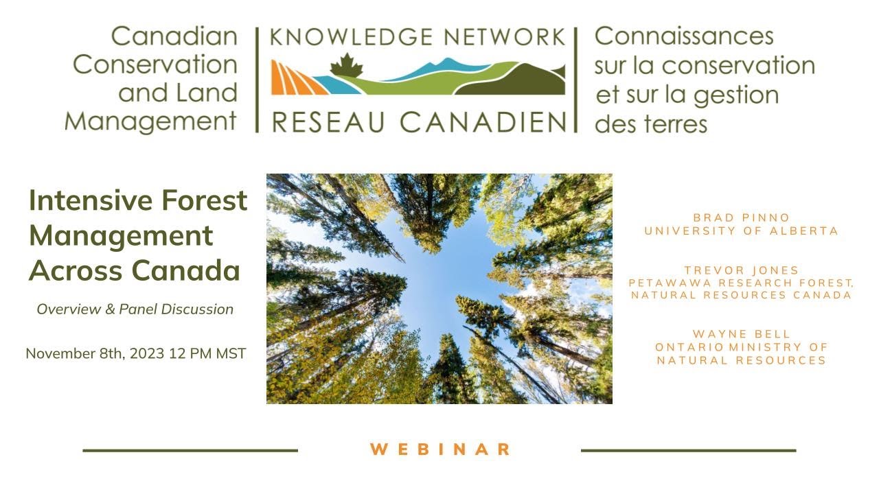 Intensive Forest Management Across Canada: Panel Discussion - YouTube