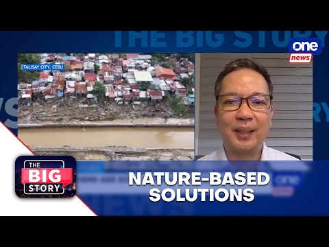 DENR Usec. David promotes nature-based solutions to curb flooding