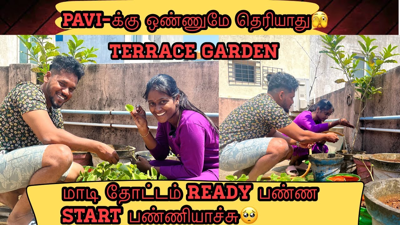 Pavi-யின் மாடி தோட்டம்😍Terrace Garden Plan😁 - YouTube