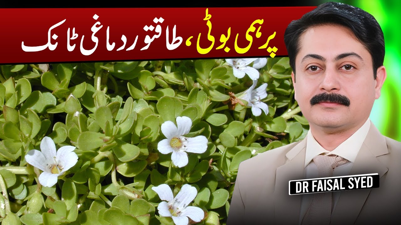Brahmi Boti: Powerful Brain tonic | Dr Faisal Syed - YouTube