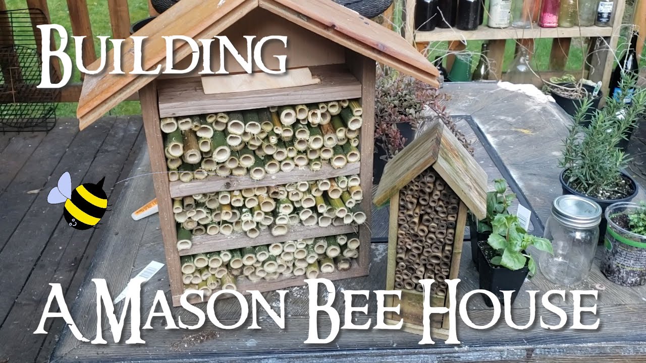 DIY ~ Building A Mason Bee House For New Coccoons! - YouTube