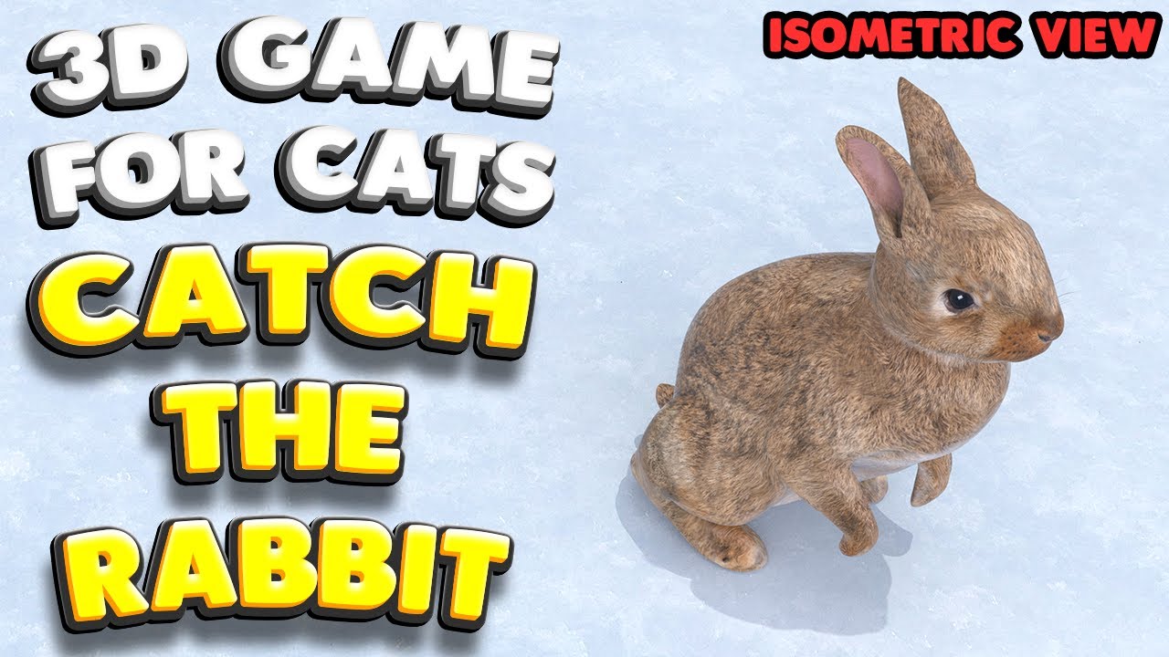 3D game for cats | CATCH THE RABBIT (isometric view) | 4K, 60 fps, stereo sound - YouTube