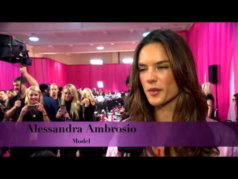 VSFS 2015: Show Highlights