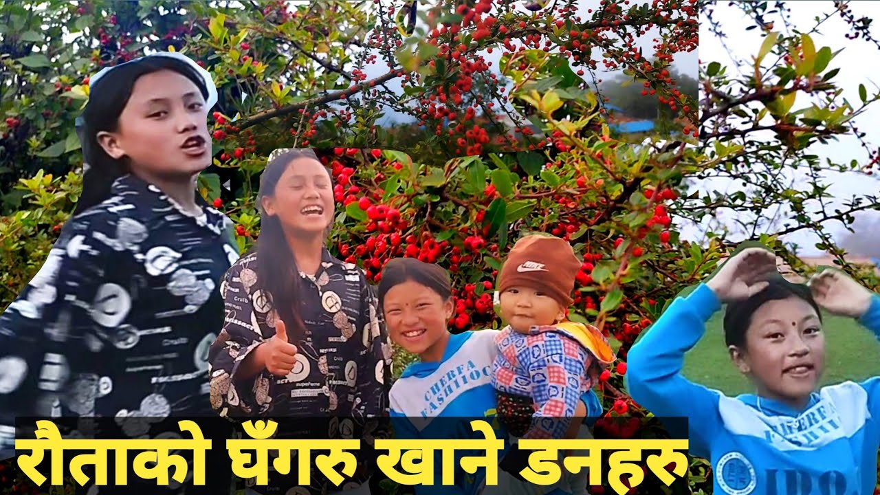 Rautako Ghangaru Khane Don ## रौताको घँगरु खाने डनहरु / @Yograj9vlog ...