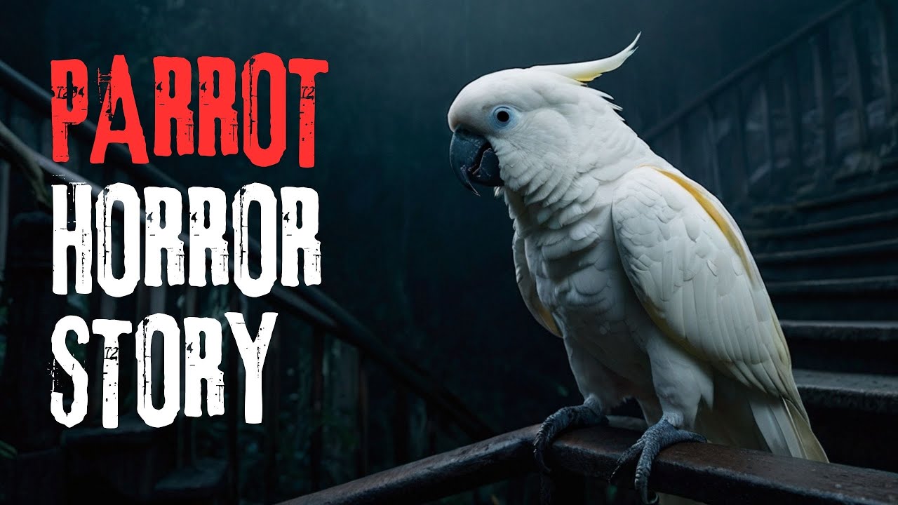 Really Scary TRUE Parrot Horror Story | True Horror Stories - YouTube