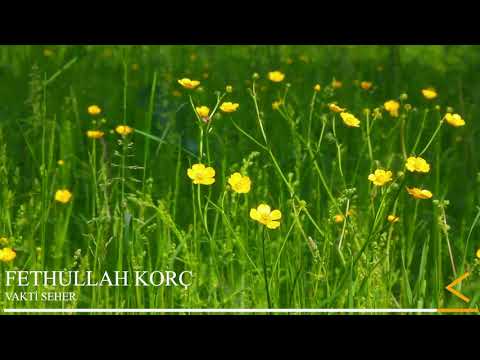 FETULLAH KORÇ - VAKTİ SEHER | En Güzel İlahiler
