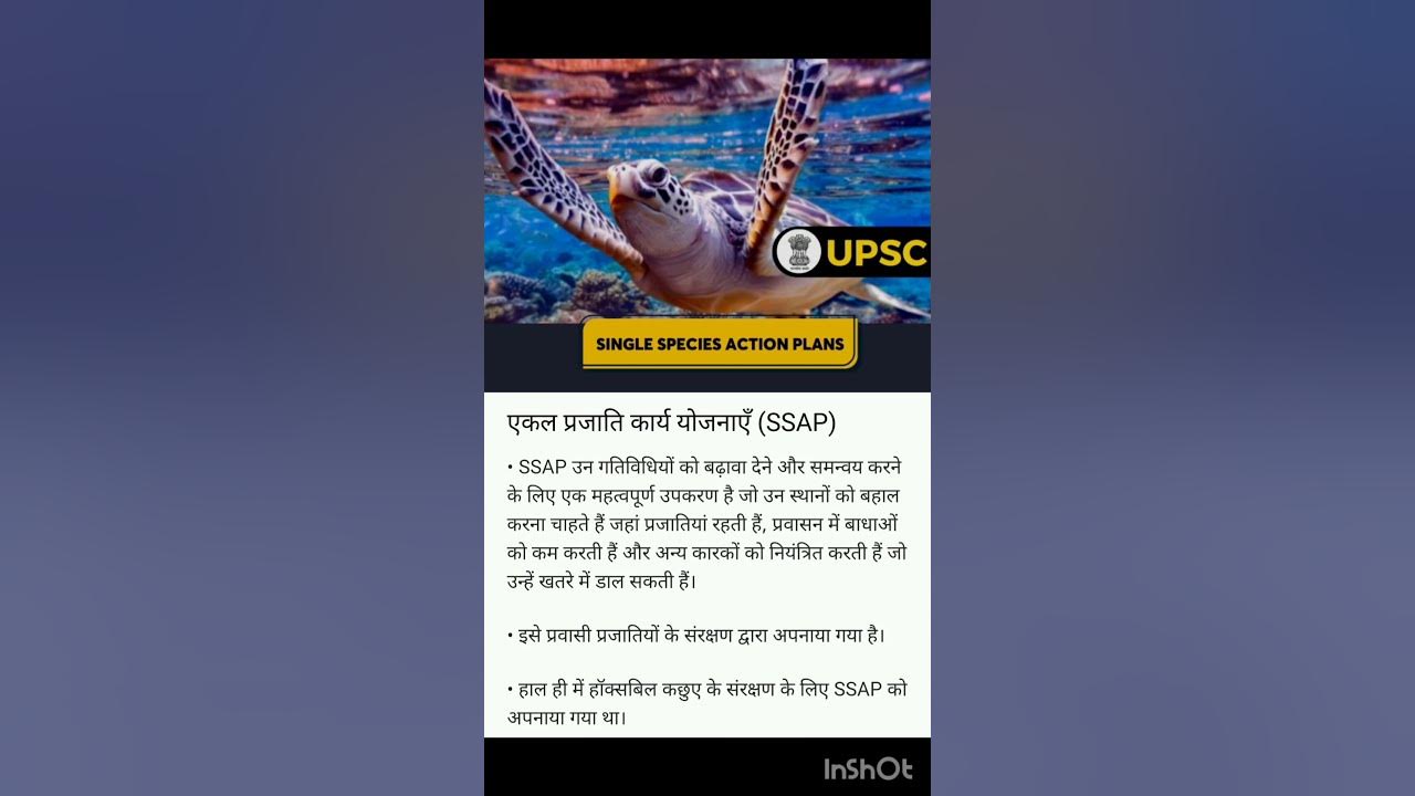 एकल प्रजाति कार्य योजनाएँ (SSAP) || 20 February 2024 - YouTube