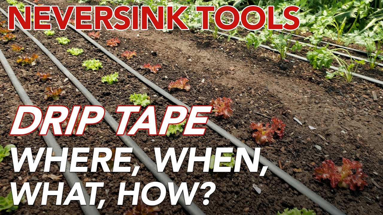 Drip Tape, Where, When and How? - YouTube