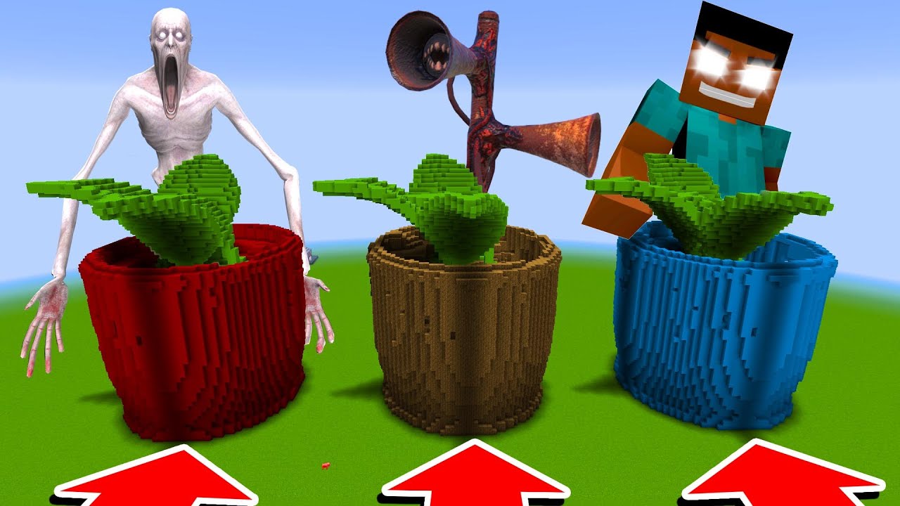 DO NOT CHOOSE THE WRONG FLOWER POT! (SCP 096,Sirenhead,Herobrine)(Ps3 ...