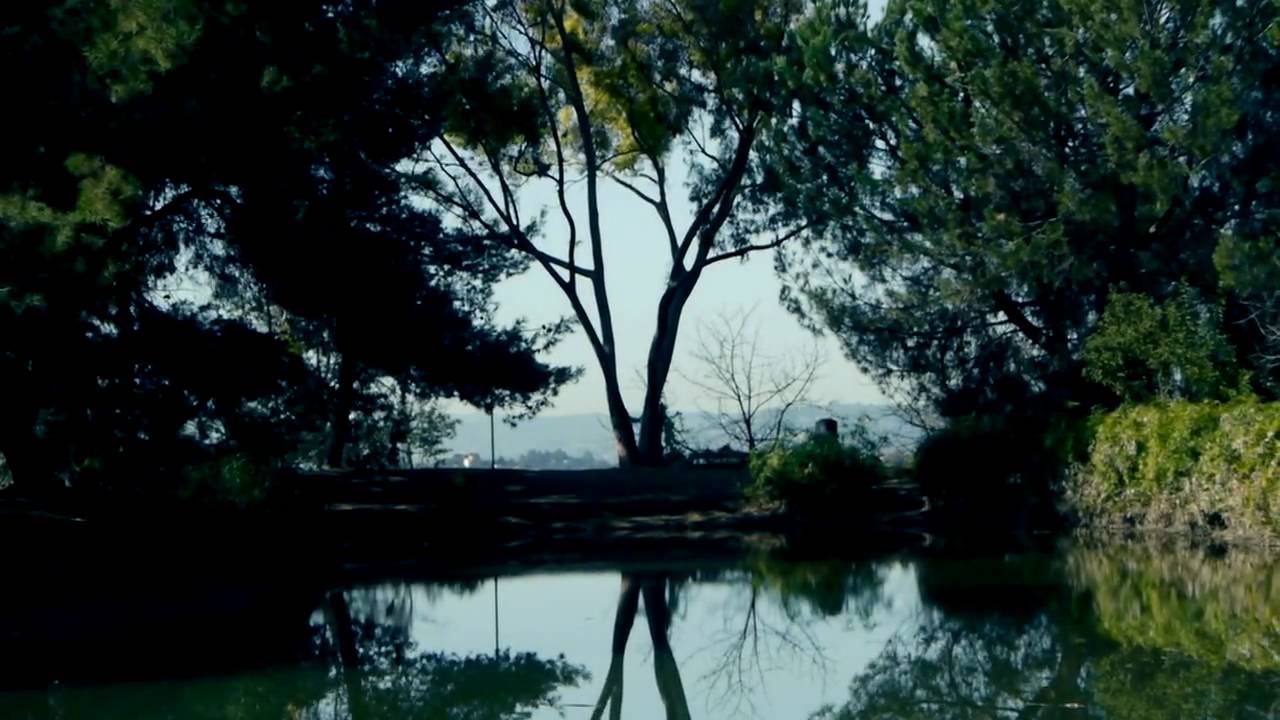 'Out Of Count' - Taylor Faust - YouTube