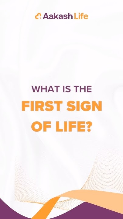 This World Heart Day, let your heart lead the way to a healthier life ...