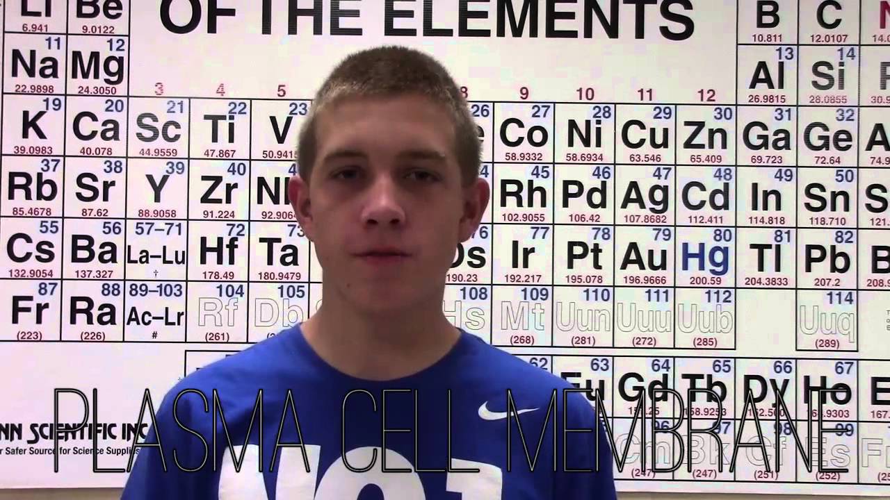 AP Biology Video Project: Zach Mills, Clayton Phelps, Spencer Briainard ...