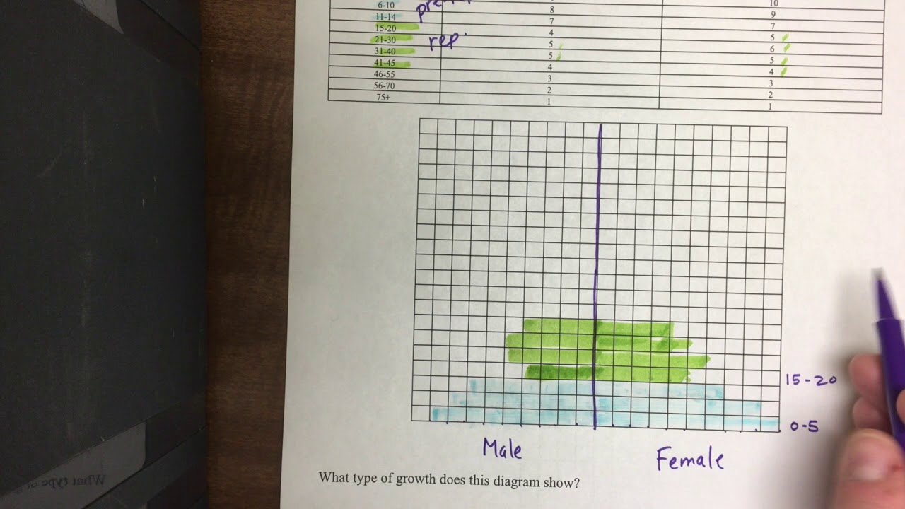 Draw an Age Structure Diagram - YouTube