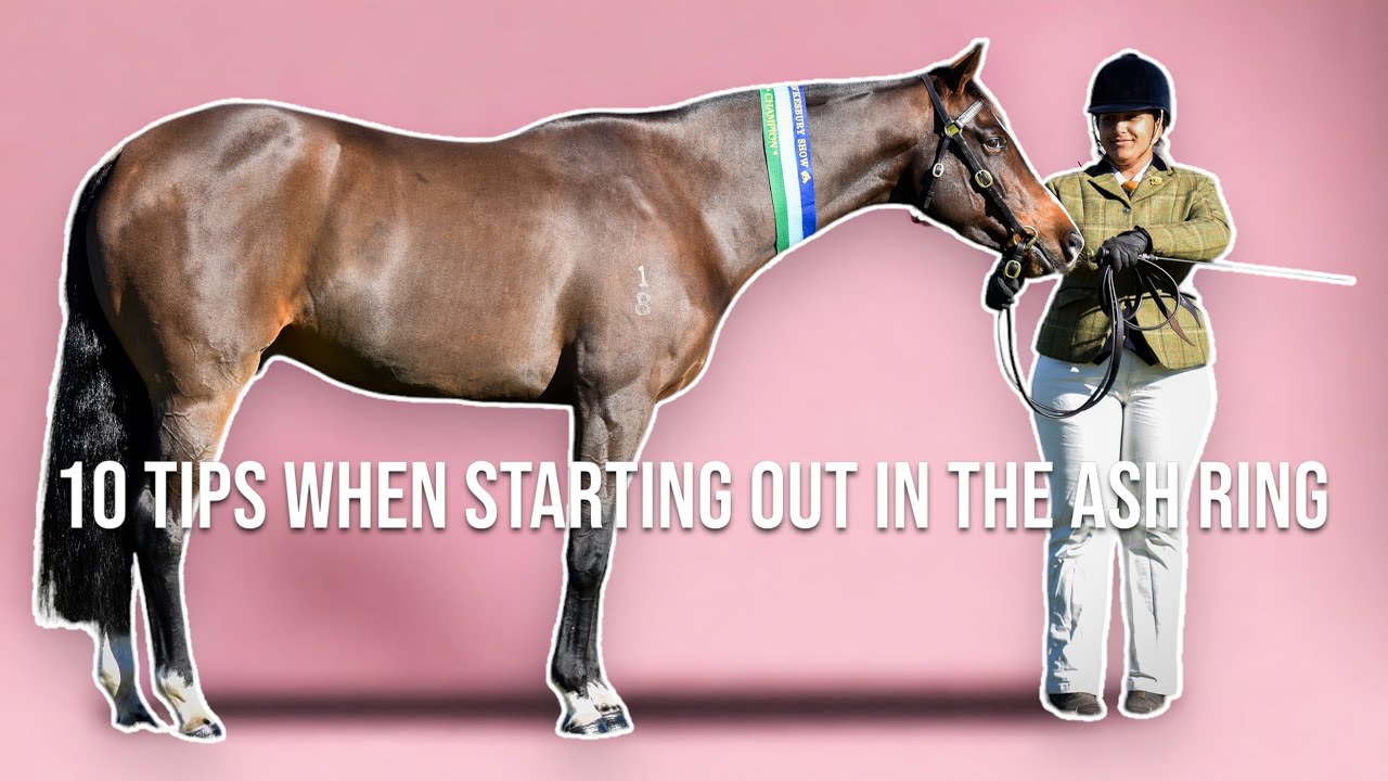 10 tips when starting out in the ASH ring - YouTube