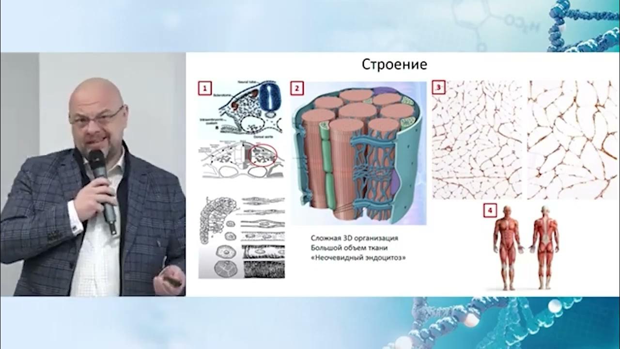 Этиопатогенетическая терапия наследственных нервно мышечных болезней. Р ...