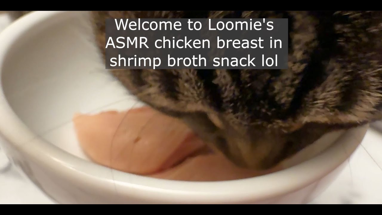 Jessie & Loomie mini clip 452 - YouTube