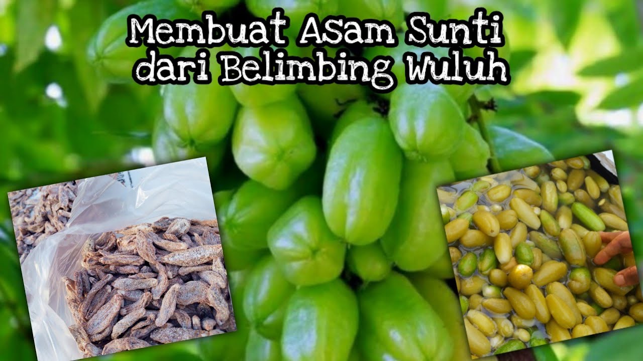 Membuat Asam Sunti dari Belimbing Wuluh - YouTube