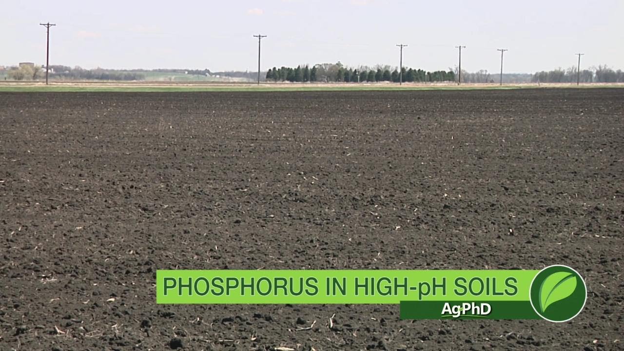 Phosphorus In High-pH Soils #1021 (Air Date 10-29-17) - YouTube