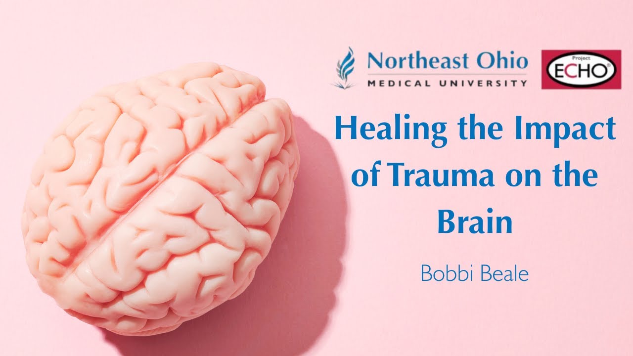 Healing the Impact of Trauma on the Brain - SoC ECHO - YouTube
