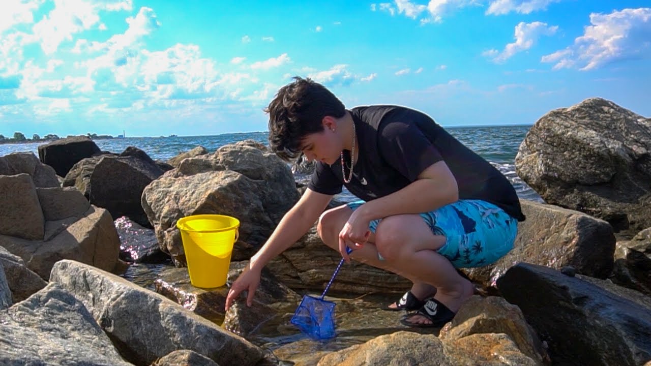 Catching HIDDEN CREATURES In TIDE POOLS For My SALTWATER AQUARIUM ...