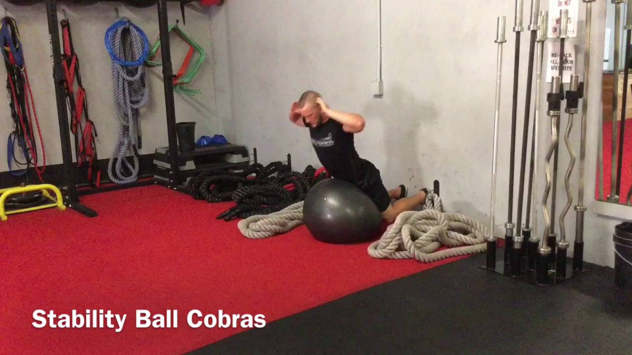 Prone Floor Cobras (SB) - Exercise List - YouTube