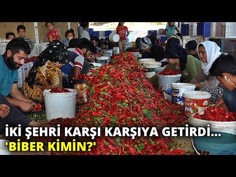 İki şehri karşı karşıya getirdi... 'Biber kimin?'
