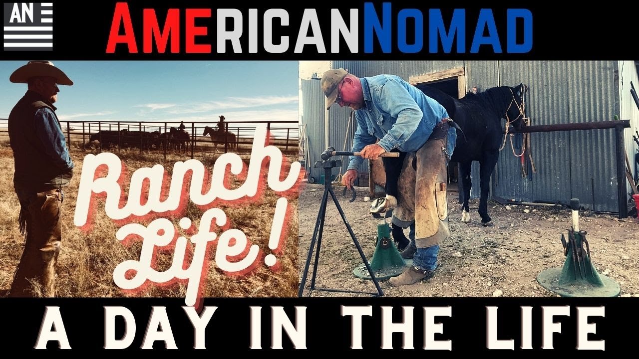 Cattle Ranch New Mexico, a day in the life on the ranch | Ranch Life ...